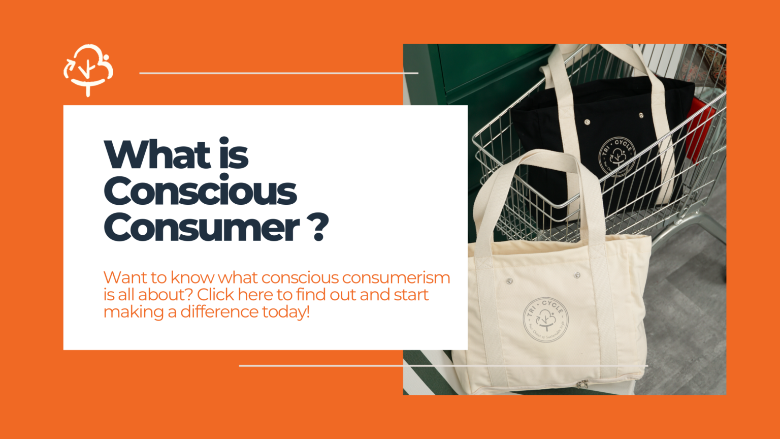 What Is Conscious Consumerism? Exploring Its Benefits and Impact - Bali ...